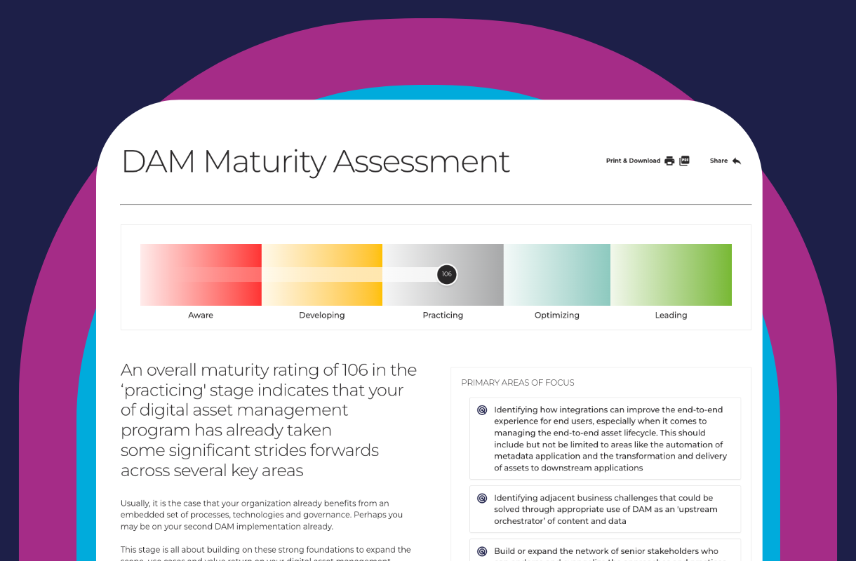Take DAM Maturity Assessment - ICP